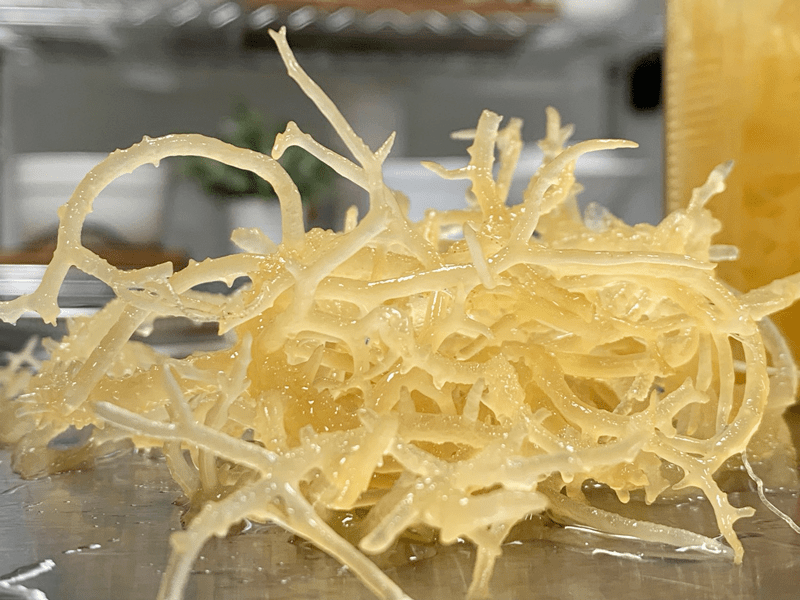 Irish Moss Gel (paste) - Nouveau Raw