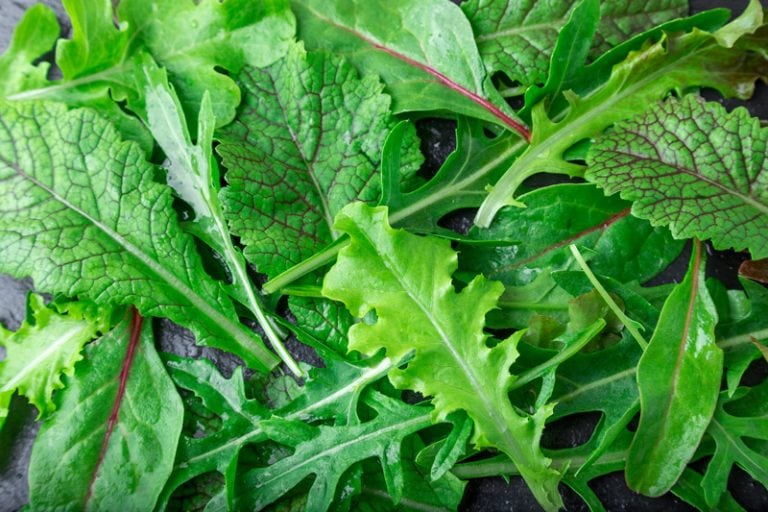 ABC's of Choosing Greens for your Salad
