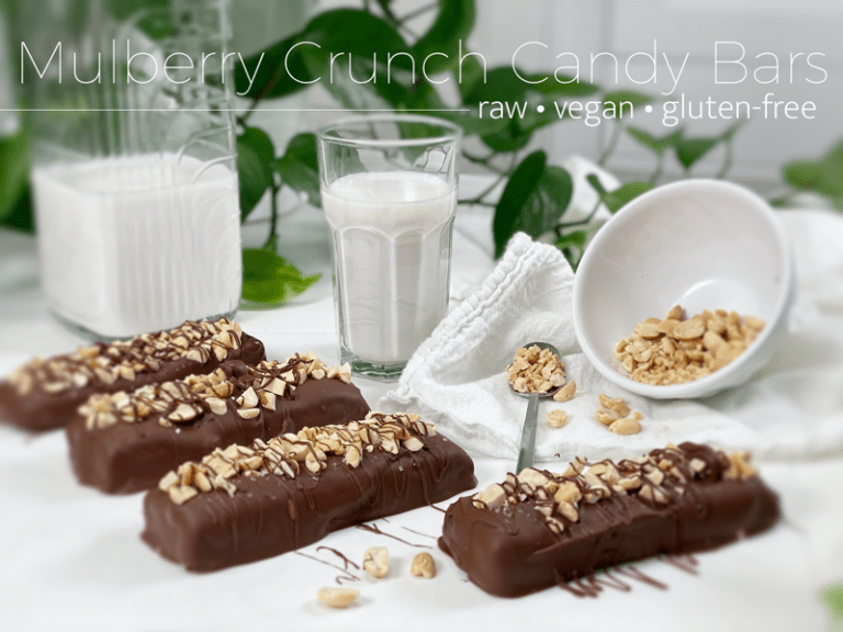 Mulberry Crunch Candy Bars | Nouveau Raw