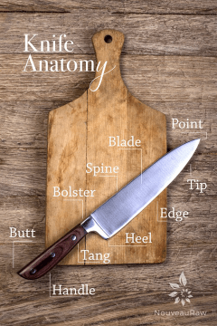 Knife Anatomy