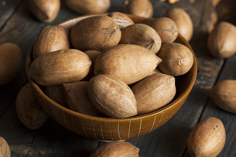 Pecans and How They Grow (300 years of growth)