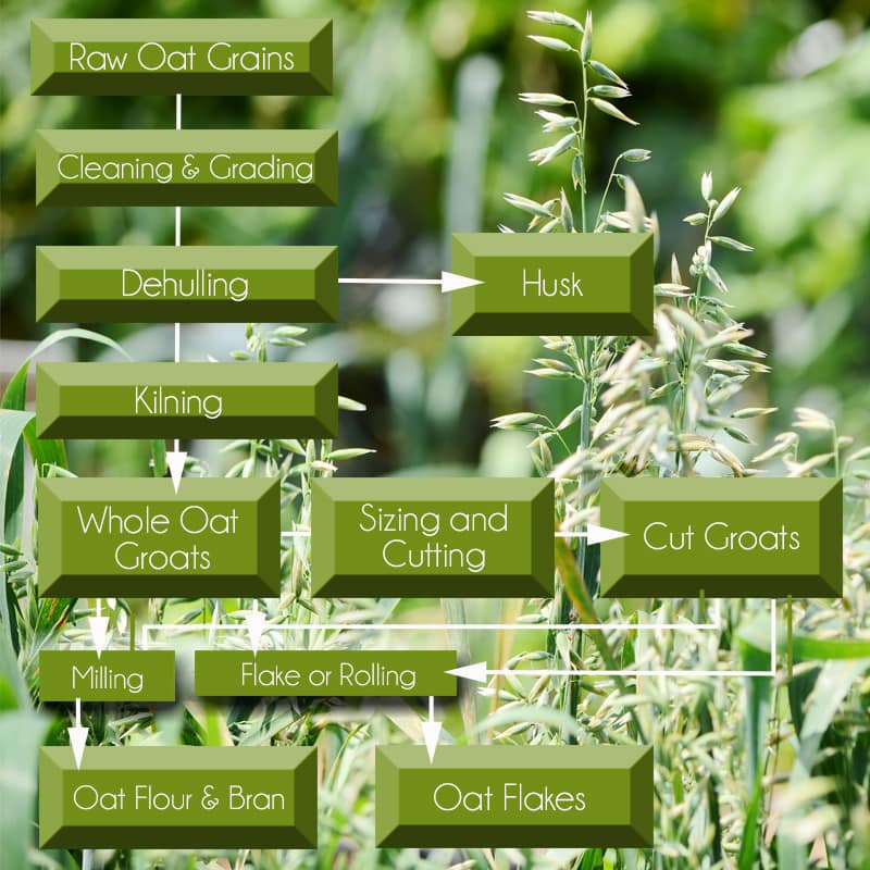 Oats - How to Identify Raw Oats