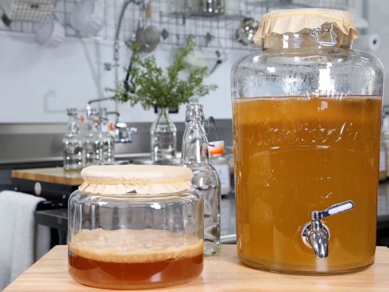 how-to-grow-your-own-scoby-from-scratch