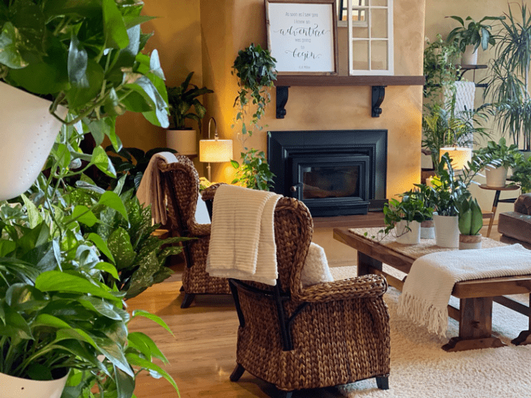 Interior Landscaping (plant styling) | AmieSue.com